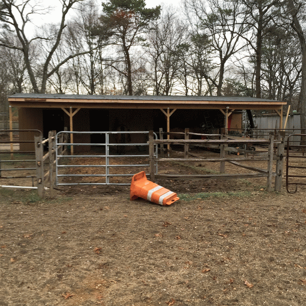 Long Island Equine & Horse Properties Training/Lessons/Boarding ...